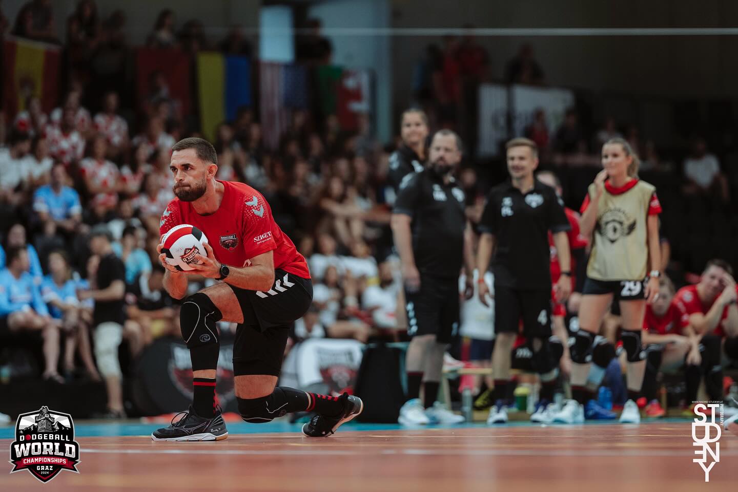 World Dodgeball Federation | World Organizational Body For The Sport Of ...